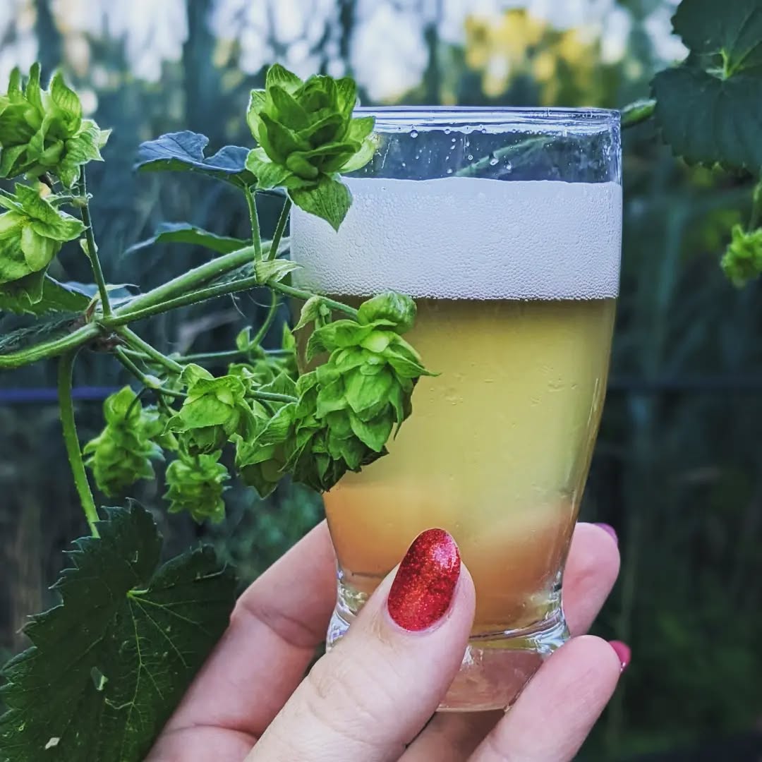 Broken Loop Brewing - Craft Beer & Food